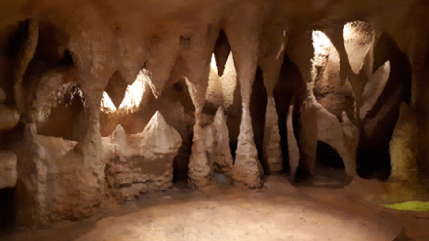Springbrook and Tamborine Rainforest Tour Including Natural Bridge and ...